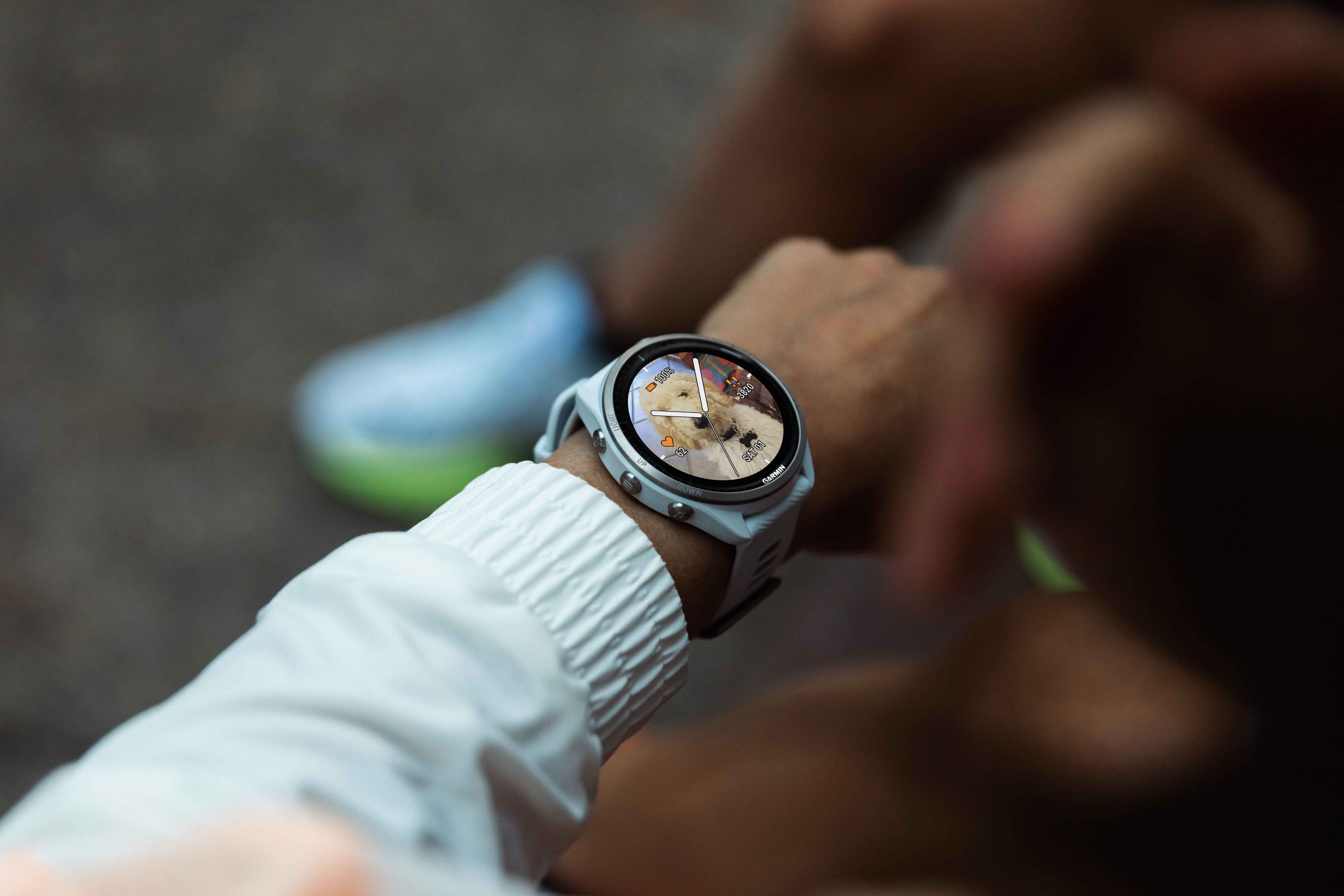 Connect IQ Store | Watch Faces and Apps | Garmin